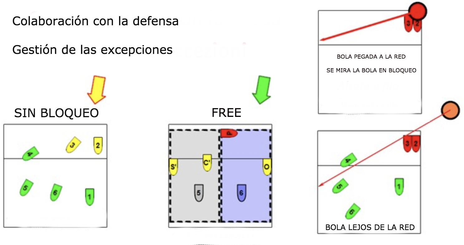 Defensa, contraataque y apoyo en el voleibol %sep % - Nino Versace
